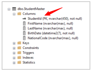 Primary key Attribute - تعیین کلید اصلی برای جداول در EF Core
